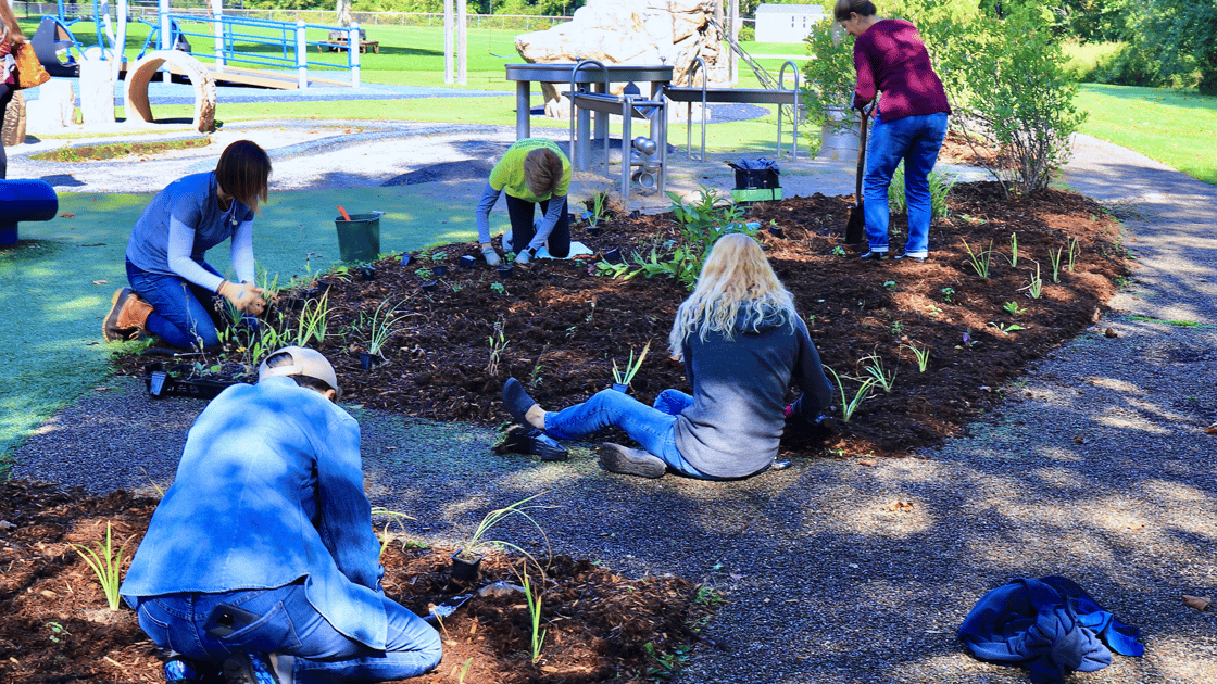 Connecticut Native Plant Garden with Catherine Violet Hubbard Sanctuary
