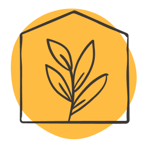 Native Plants: Everything You Need to Know