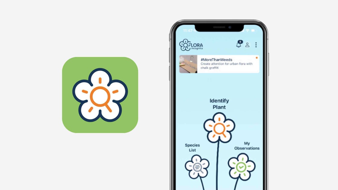 The Ultimate Guide to Plant Identification Apps for Every Gardener
