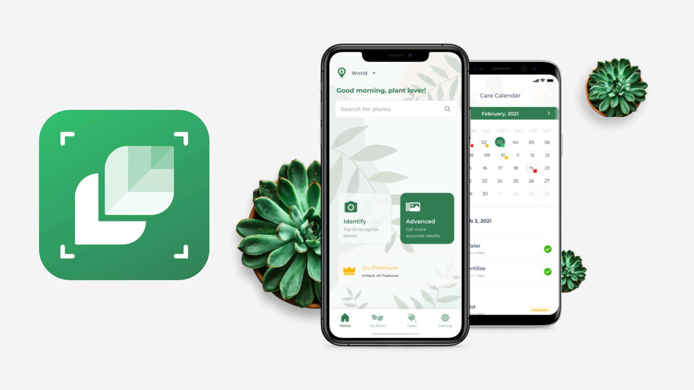 The Ultimate Guide to Plant Identification Apps for Every Gardener
