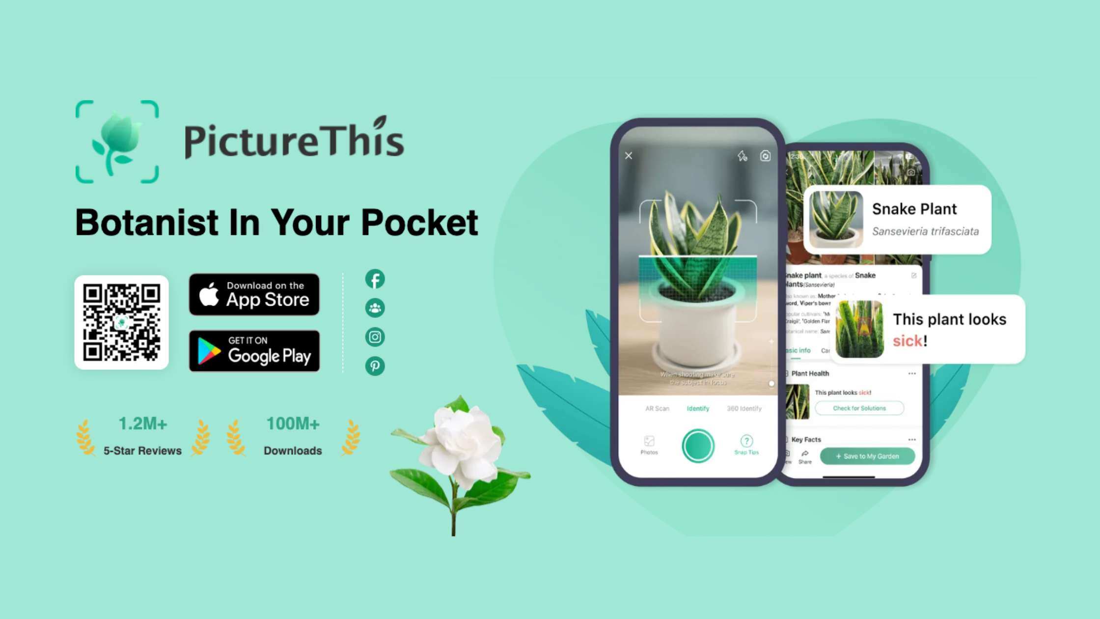 The Ultimate Guide to Plant Identification Apps for Every Gardener