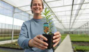 Meet the Native Plant Growers | Garden for Wildlife