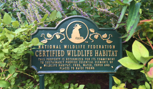Certified Wildlife Habitats | Garden for Wildlife
